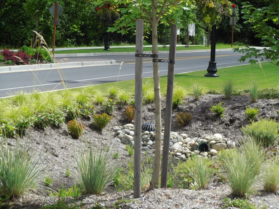 Ten Trails Master Planned Community - David Evans and Associates, Inc.